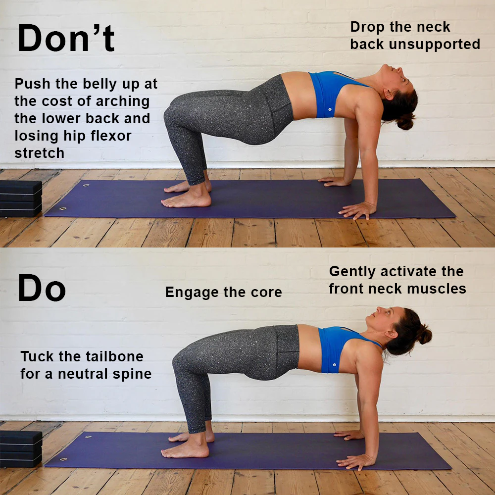 Understanding Asana | PYC Blog | The Power Yoga Co.